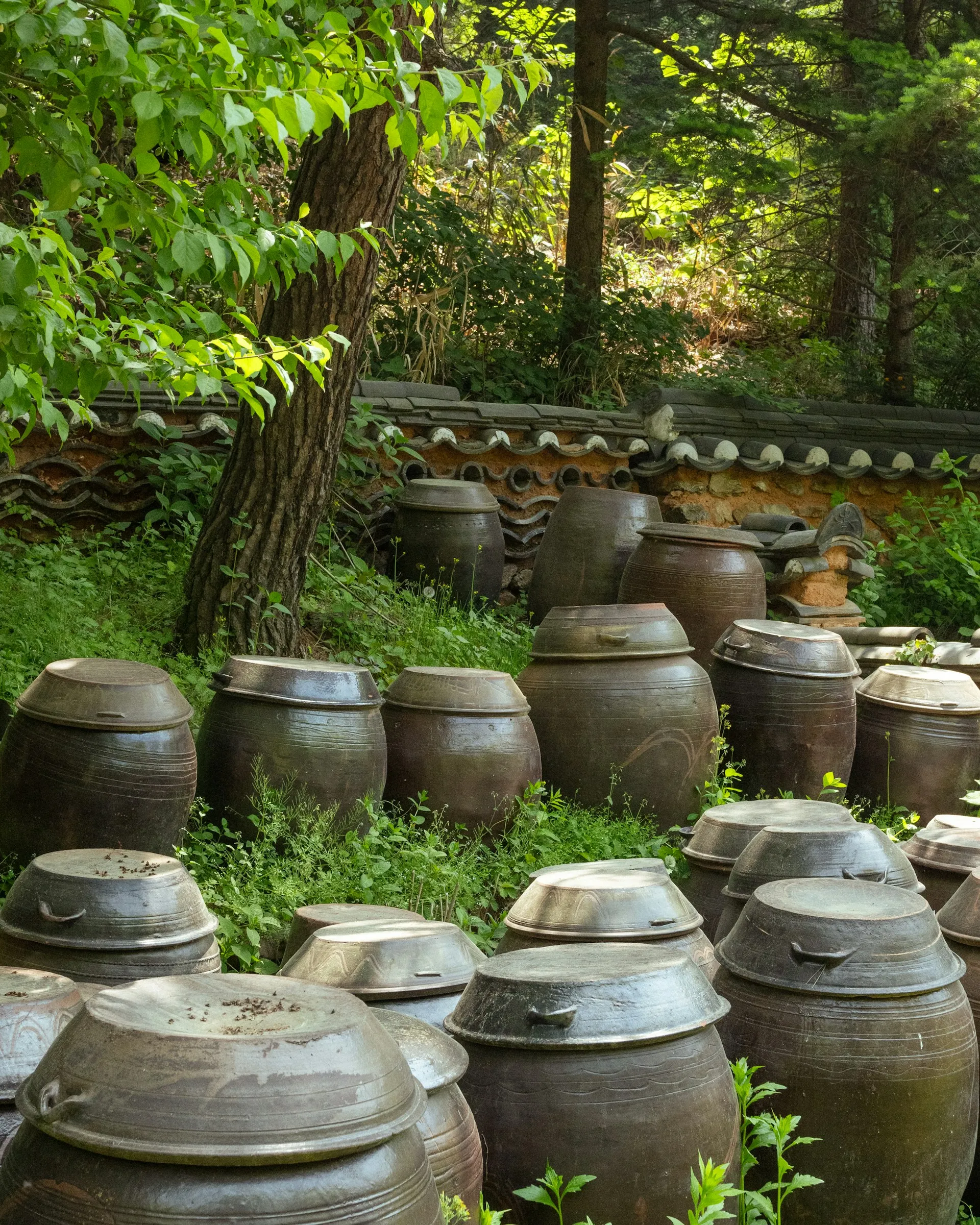 Water Storage Safety - 2026 Complete Guide